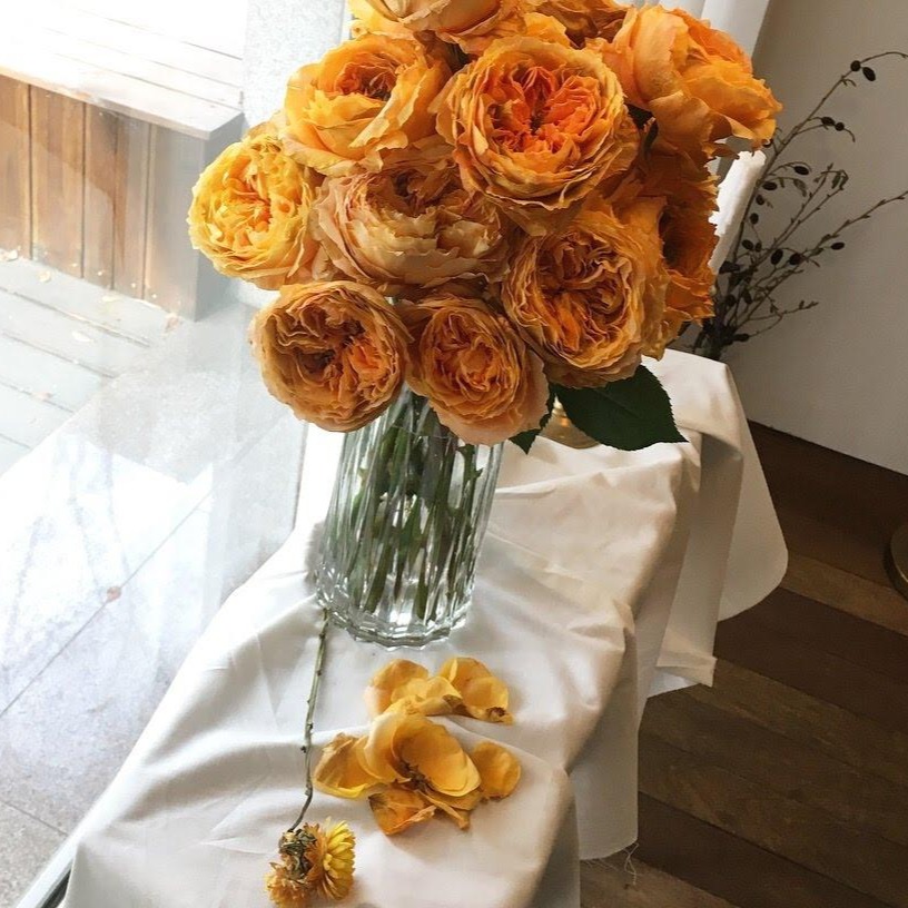 Postgresql 중복데이터 제거하고 하나만 남기기