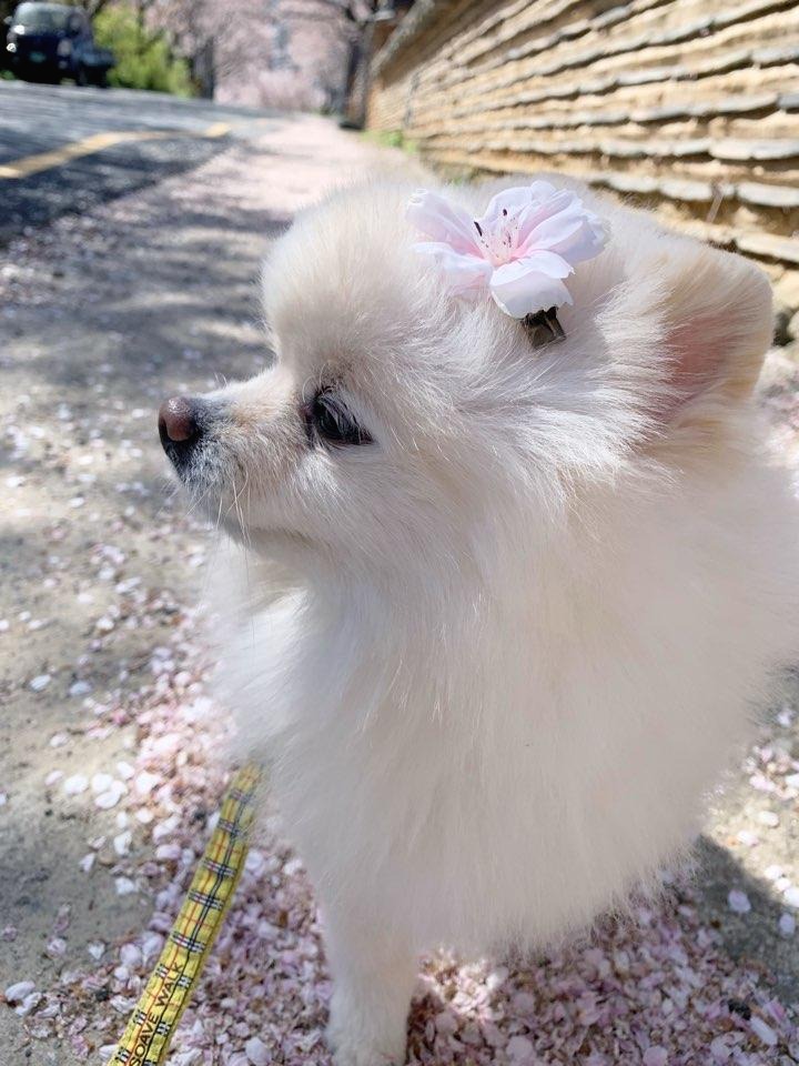 sparse_categorical_crossentropy와 categorical_crossentropy 비교