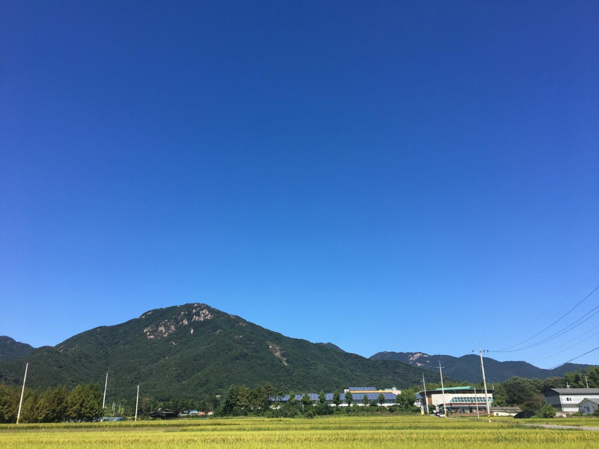 [Oracle] IF문 SQL구현 (CASE)